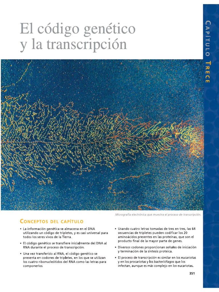 Transcripcion Del ADN | PDF