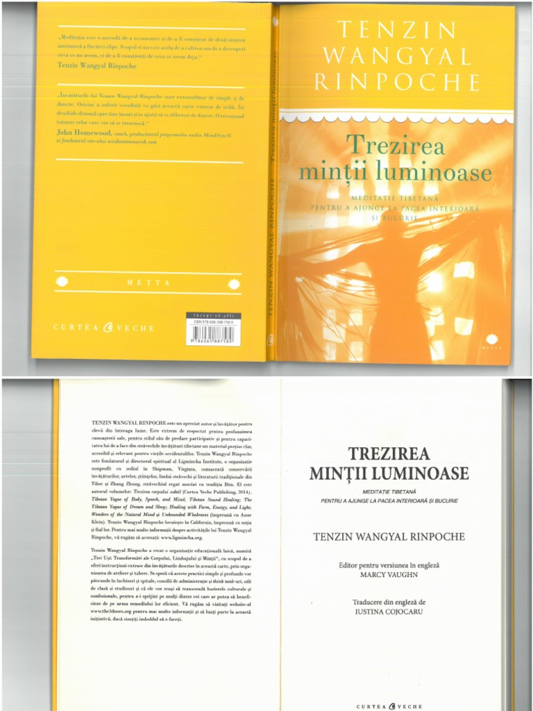 Trezirea Mintii | PDF