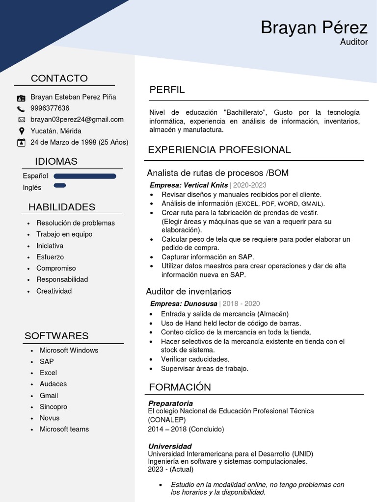 Brayan Piña CV | PDF