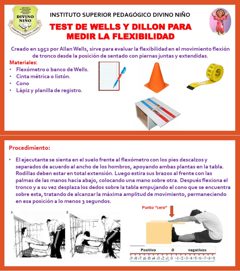 Test de Wells y Dillon o Seat and Reach | PDF