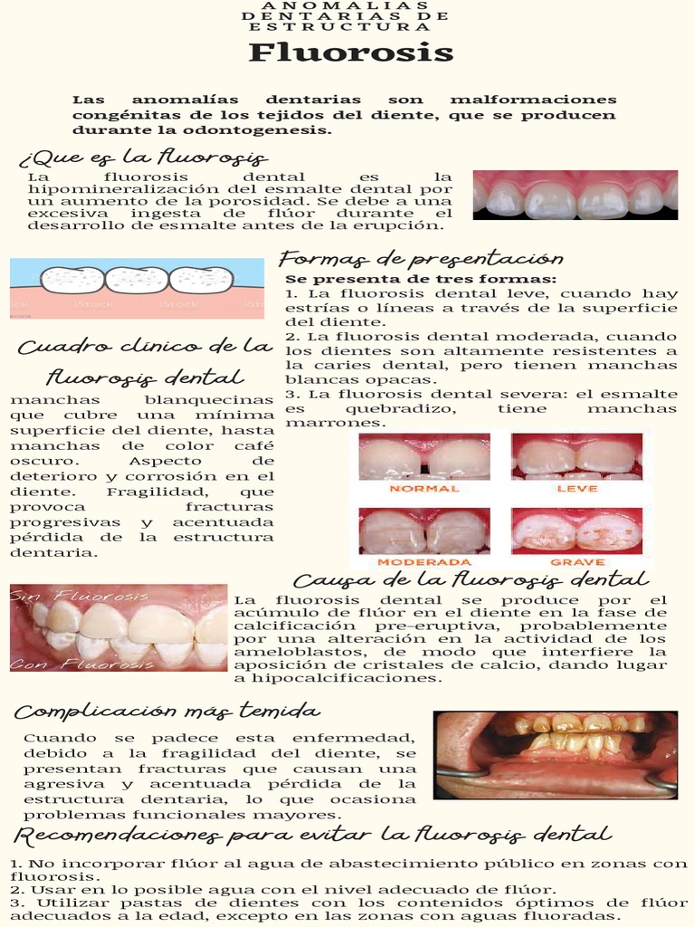 Rotafolio 3 (Claudio, Paola y Anali 1C) | PDF | Diente | Cuidado de la ...