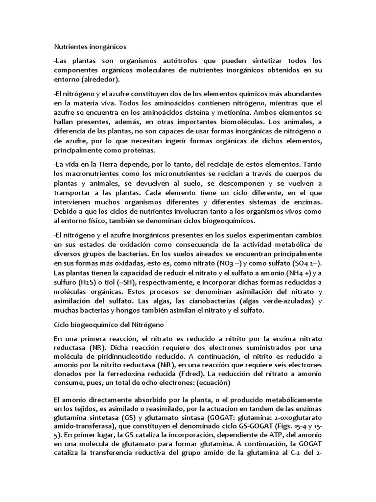 Nutrientes inorgánicos | PDF | Fotosíntesis | Nutrientes