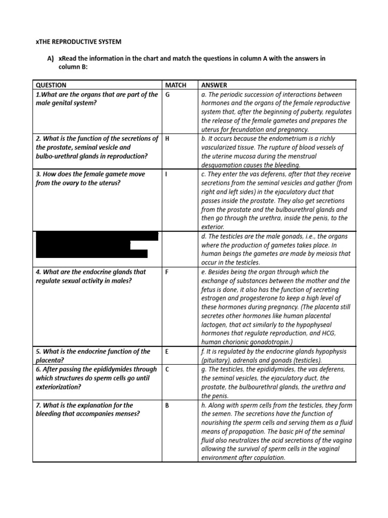 The Reproductive System-Students Material | PDF