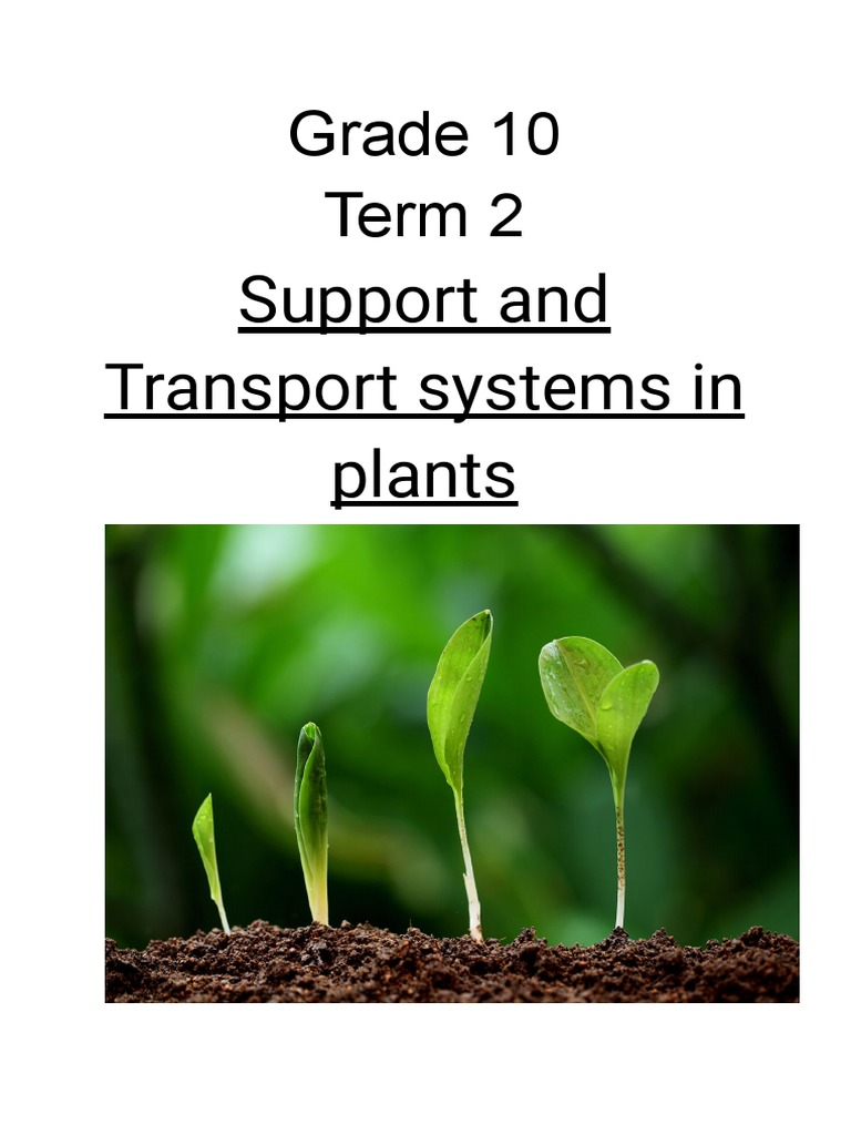 Grade 10 Plant Transport Systems Notes | PDF | Plant Stem | Leaf