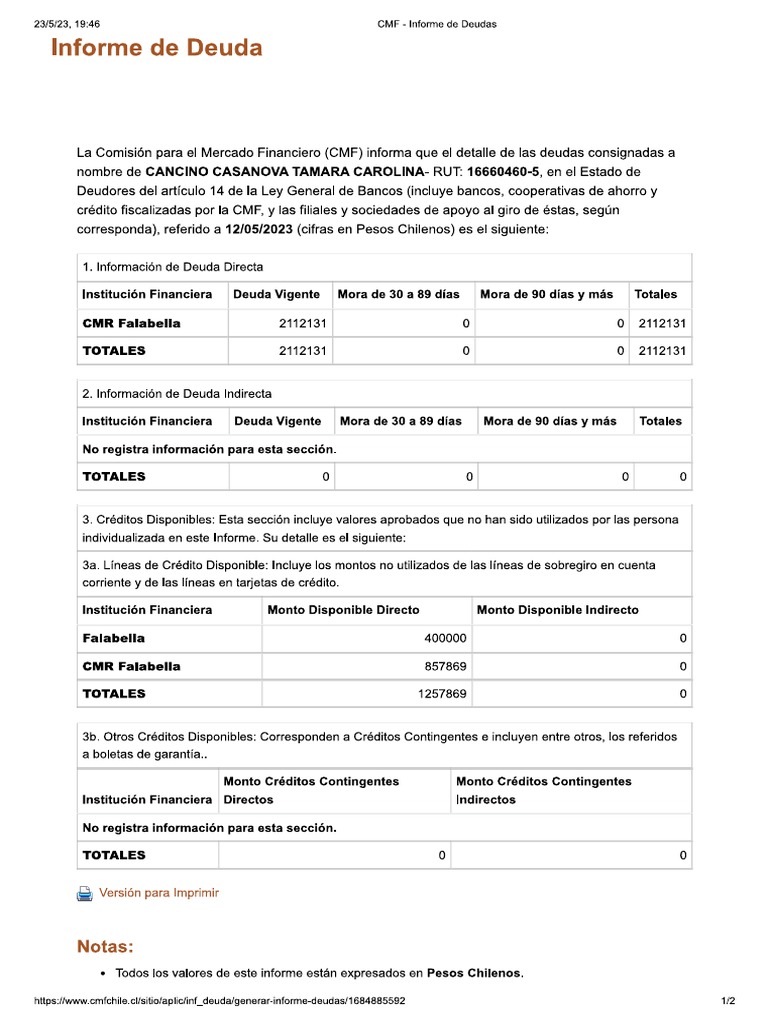 Informe Deuda CMF Tamara | PDF