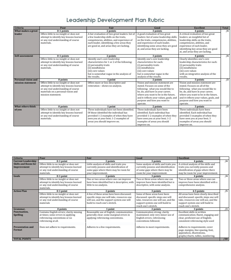 Leadership Development Plan-Rubric | PDF | Leadership | Critical Thinking