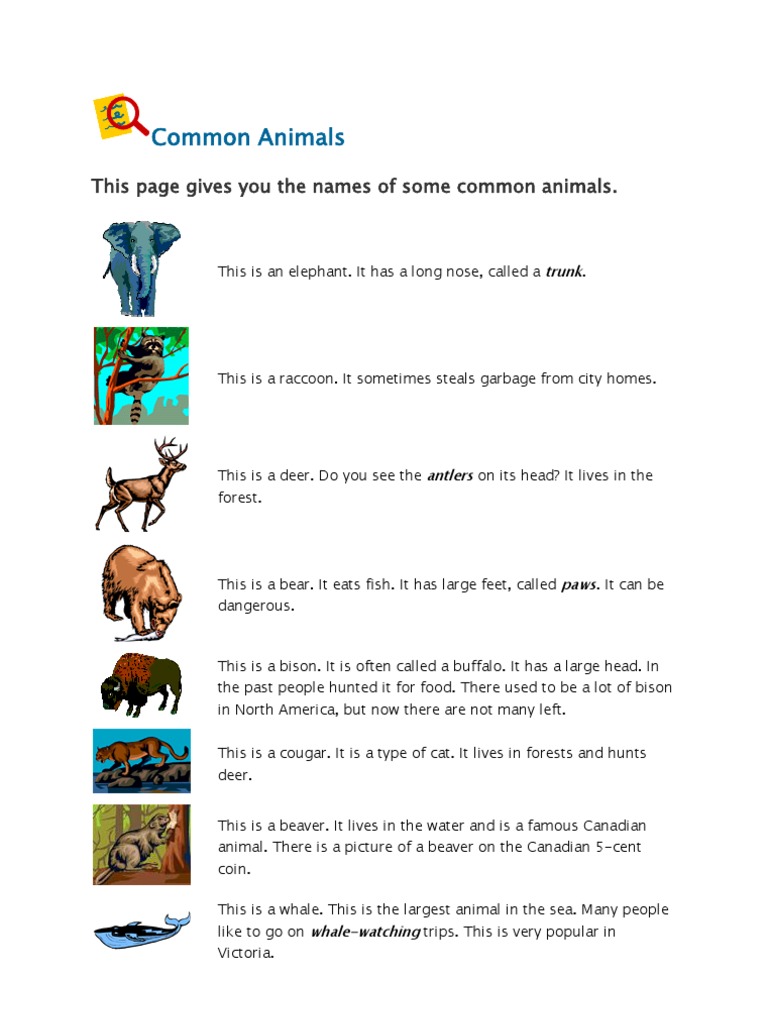 Common Animals | PDF