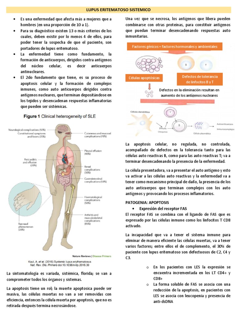 Fisiopatología del Lupus Eritematoso | PDF | Antígeno | Sistema inmune