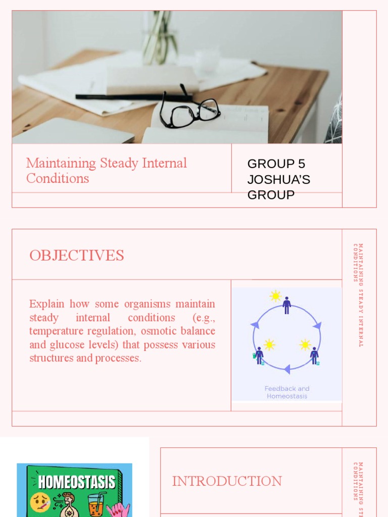 Maintaining Steady Internal Conditions of Organisms | PDF ...