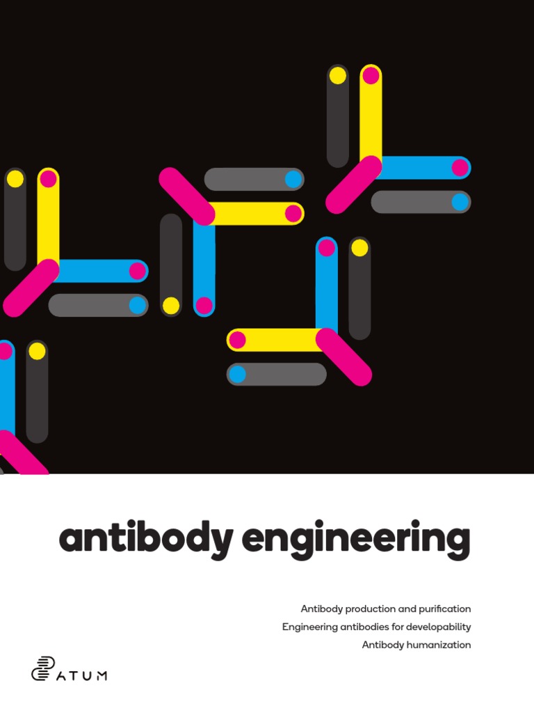 Antibody Engineering | PDF | Antibody | Monoclonal Antibody