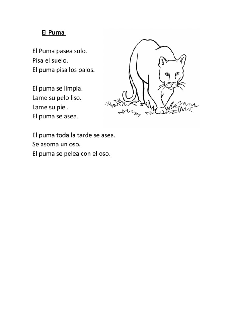 Lectura El Puma | PDF