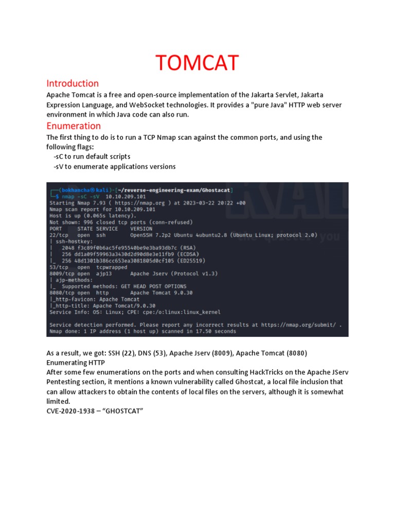 Reverse Engineering Pdf