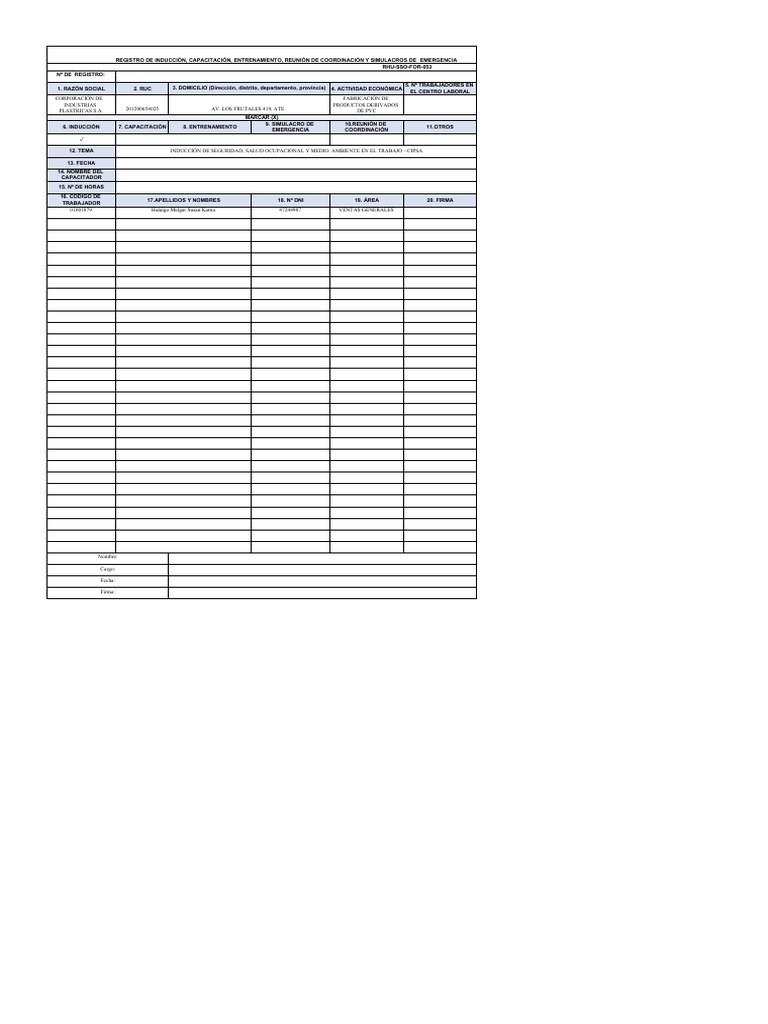Formatos de Inducción + Ssoma | PDF