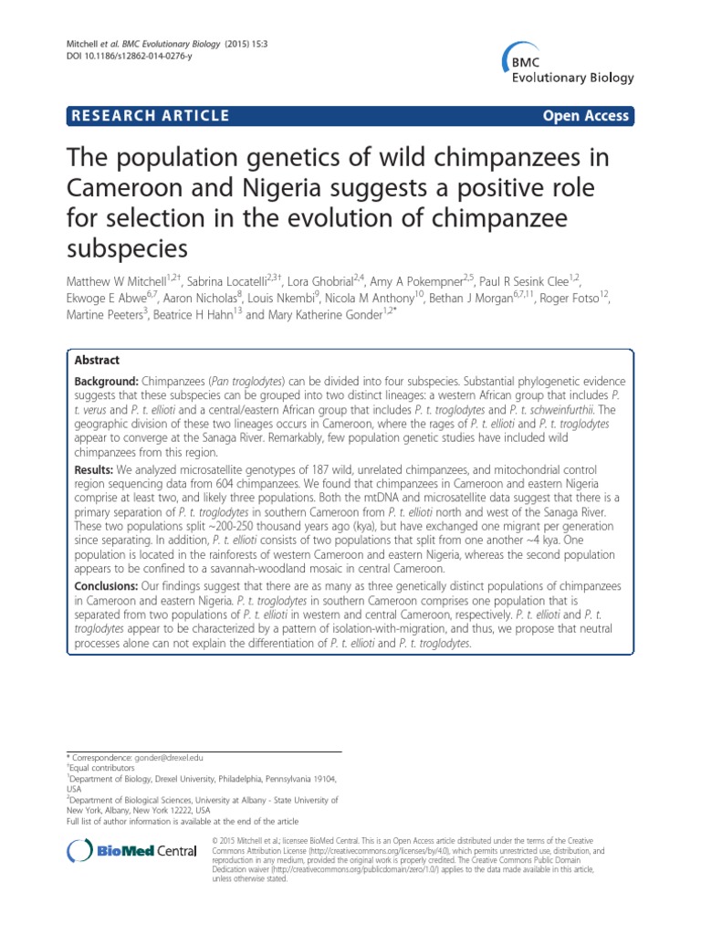 The Population Genetics of Wild Chimpanzees in | PDF | Haplotype ...