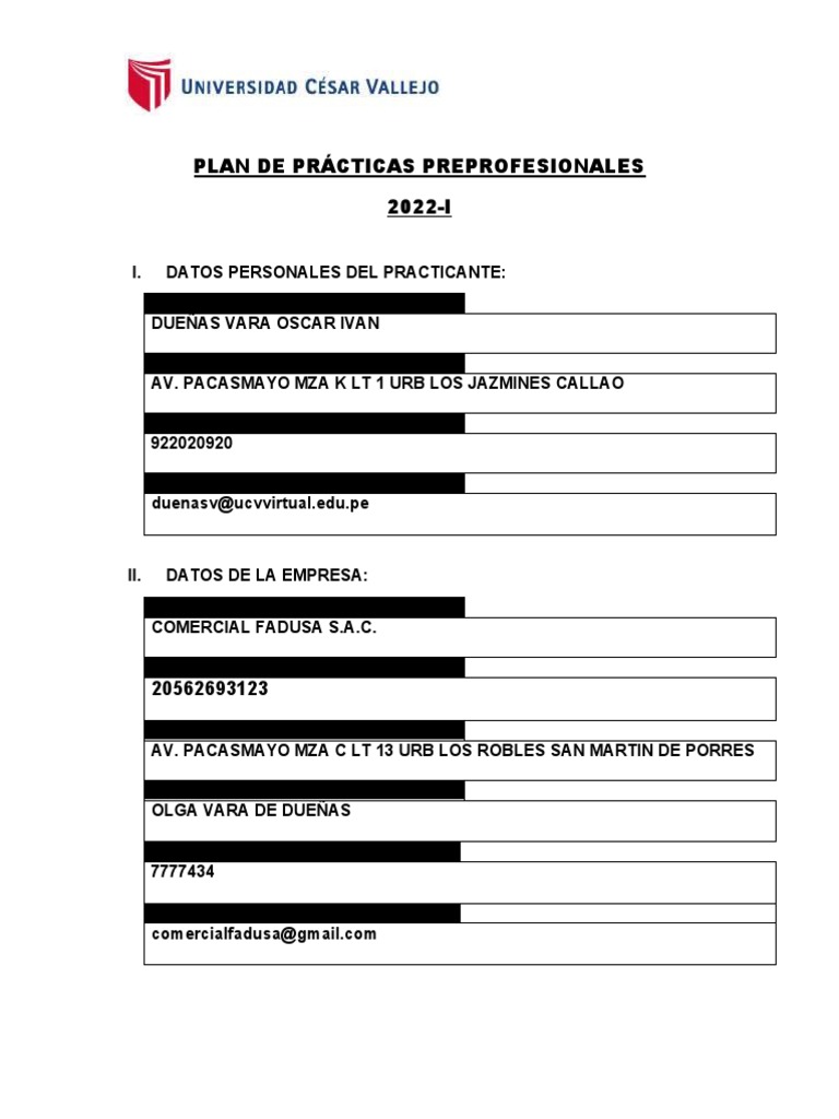 Ppp1 c1 Pra03 Plan Practicas | PDF