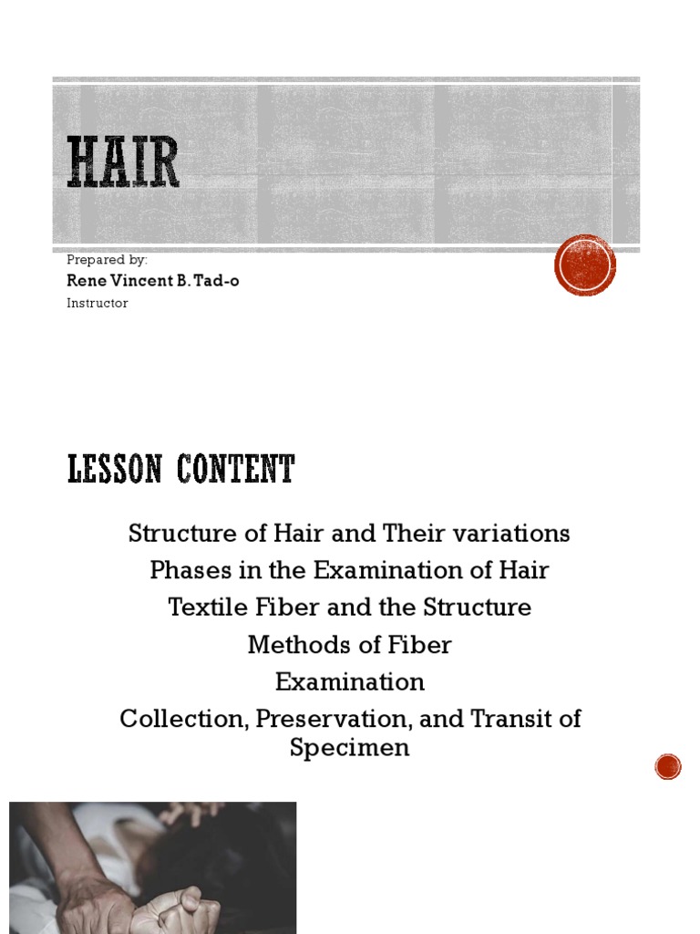 Hair Pdf Hair Skin