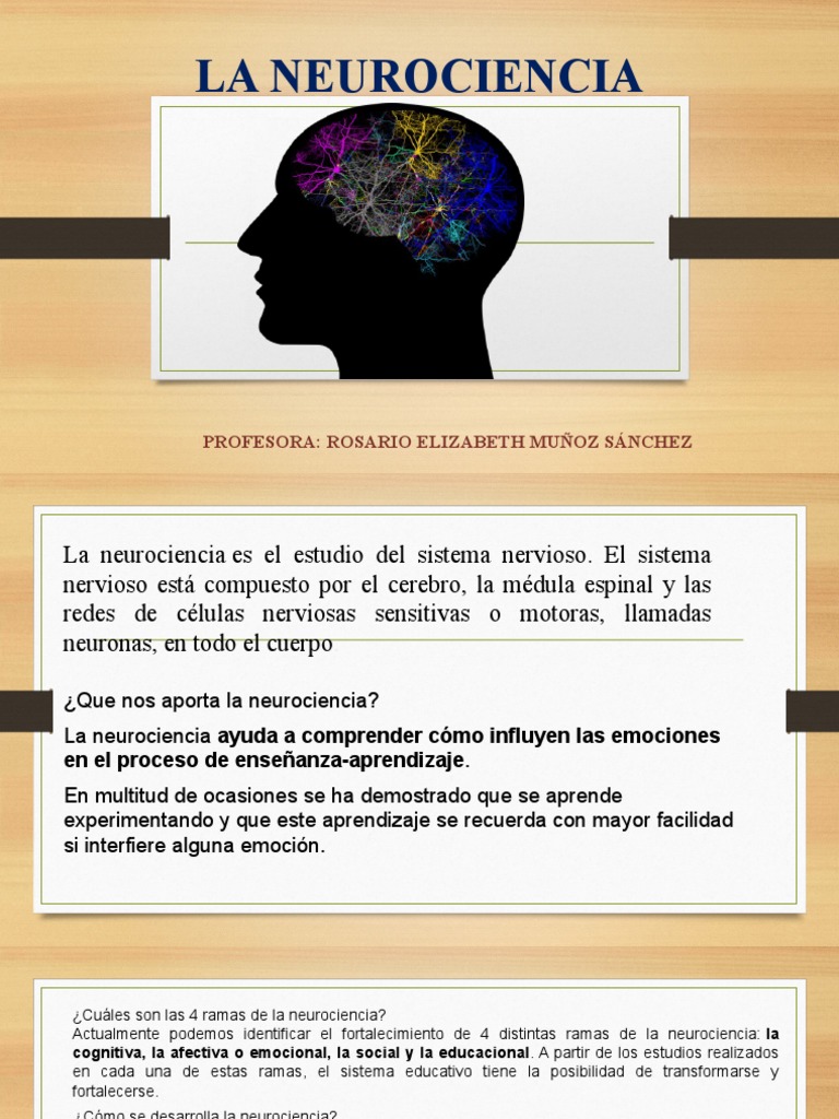 La Neurociencia | Descargar gratis PDF | Neurociencia | Aprendizaje