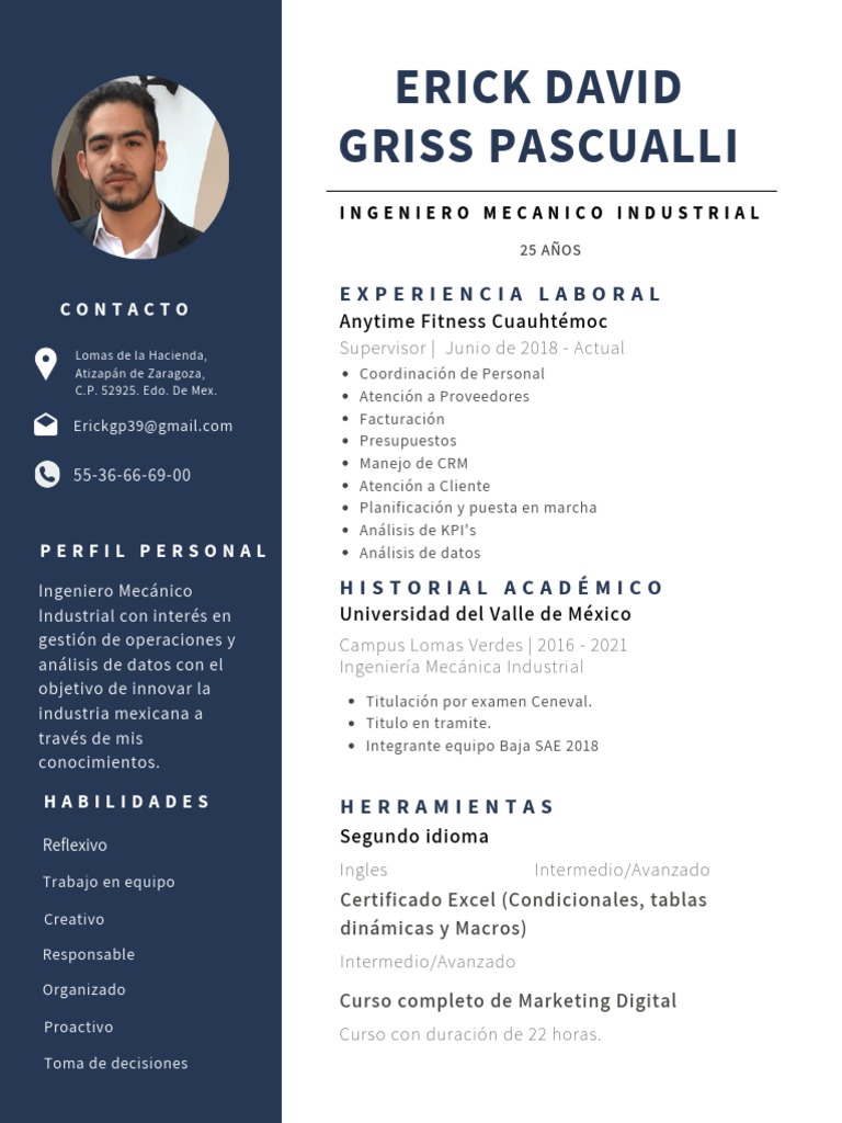 CV Erick Griss P. | PDF