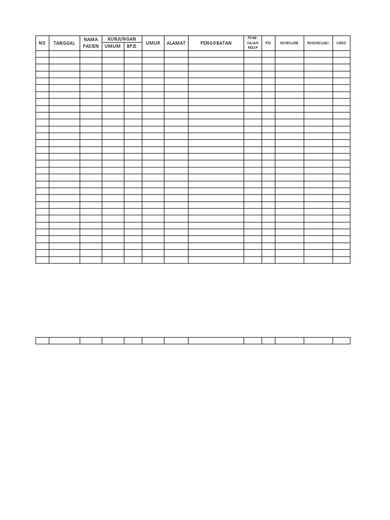 Data Kunjungan Pasien Klinik | PDF