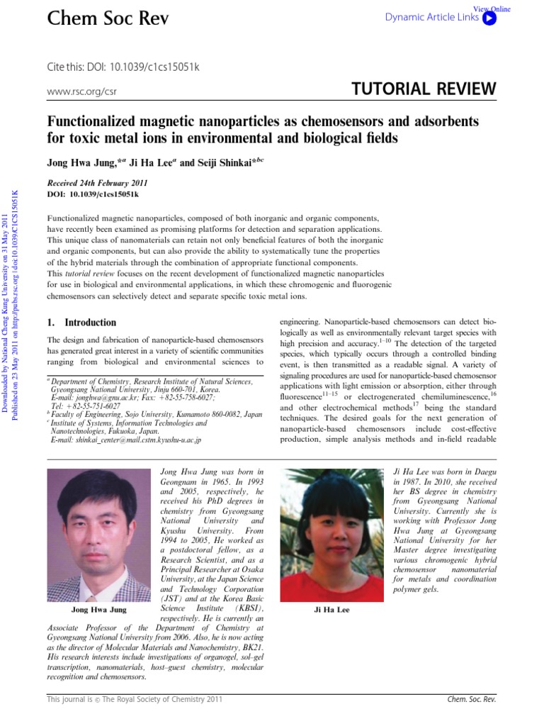 Functionalized Magnetic Nanoparticles As Chemosensors and Adsorbents ...