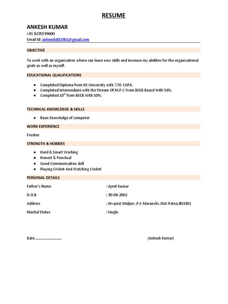 Ankesh Resume1 | PDF