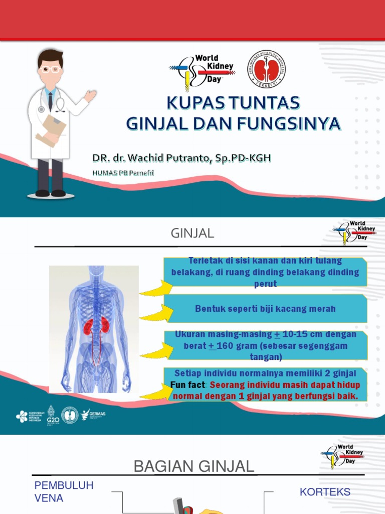 PPT_Dr. Wachid_Ginjal Dan Fungsinya Untuk Awam | PDF