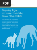 IRIS-DOG-Treatment Recommendations 2023 | PDF | Hypertension | Blood ...