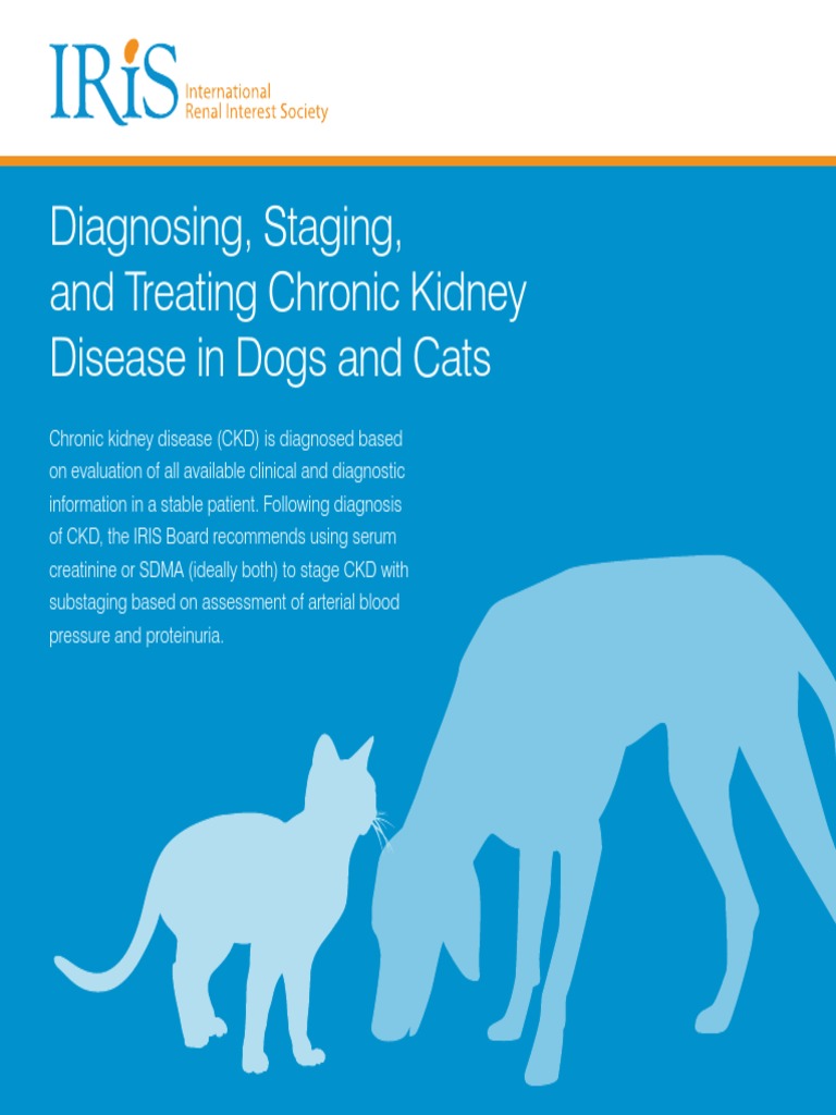 IRIS Pocket Guide To CKD 2023 | PDF | Chronic Kidney Disease | Creatinine