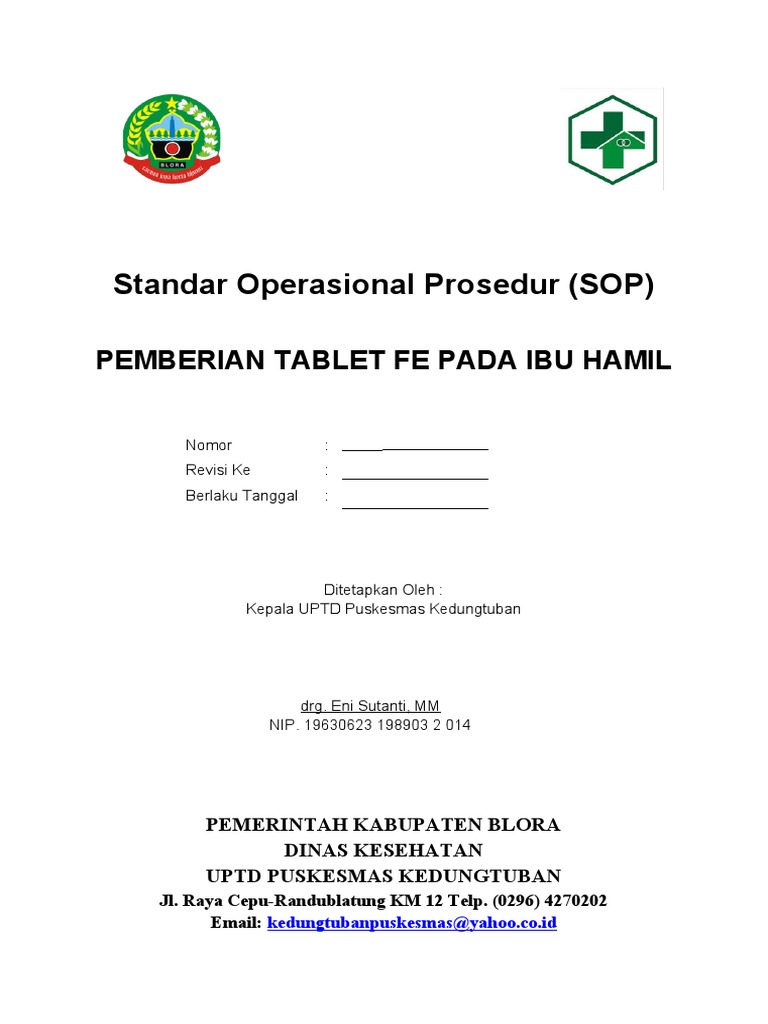 Sop Pemberian Tablet Zat Besi (V) P | PDF
