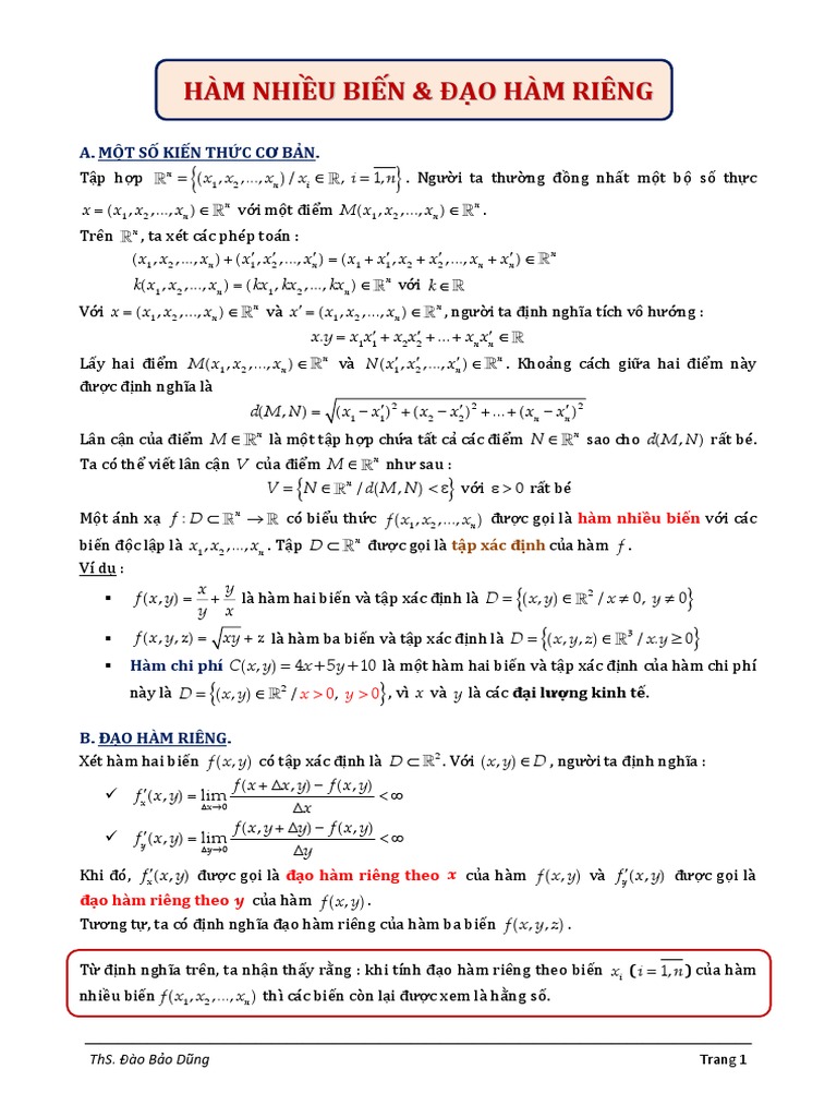 (4.1) Ham Nhieu Bien + Dao Ham Rieng | PDF