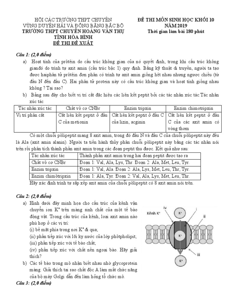 (Lib24.vn) De-Thi-Chon-Hsg-Sinh-Hoc-Duyen-Hai-Va-Dong-Bang-Bac-Bo-Sinh-10-Nam-Hoc-2018-2019 ...
