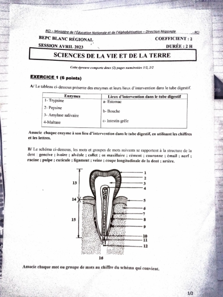 bepc blanc régional 2023 | PDF