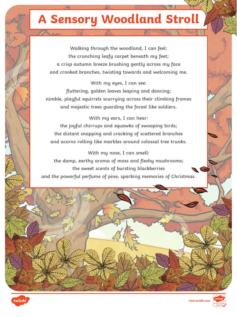 A Sensory Woodland Stroll | PDF | Poetry