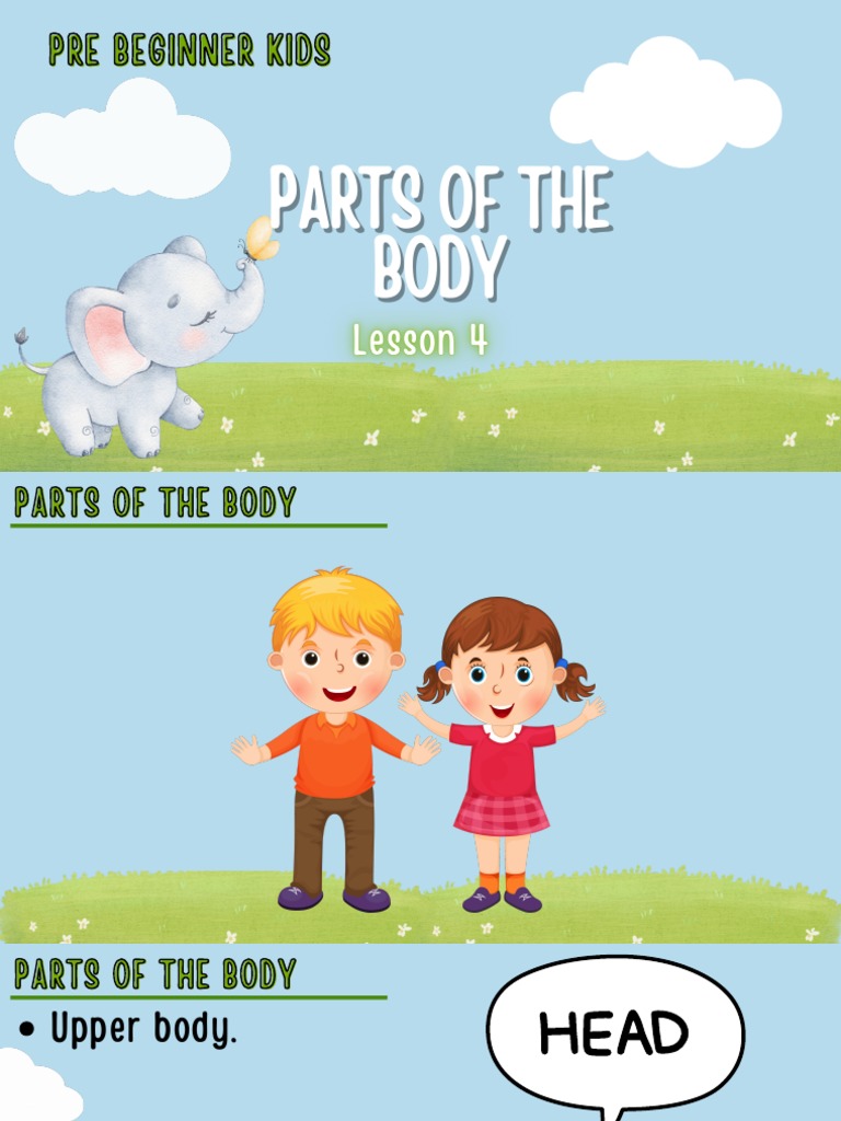 LESSON 4-Parts of The Body | PDF | Human Anatomy