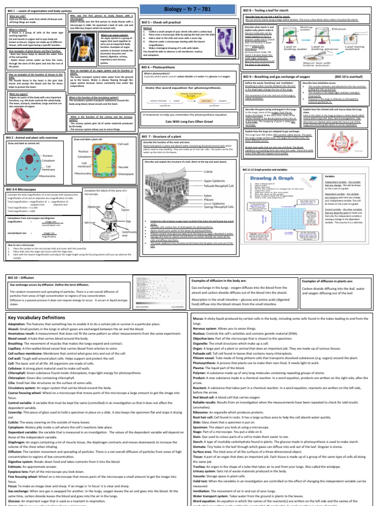 Knowledge Map - 7B1 | PDF