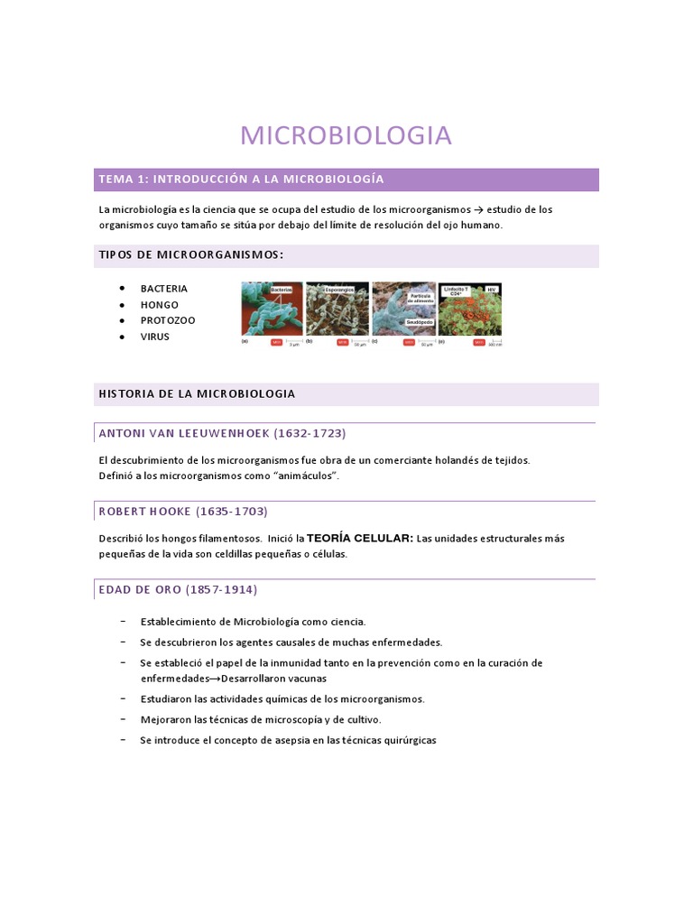 Historia y Fundamentos de la Microbiología | PDF | Respiración celular ...