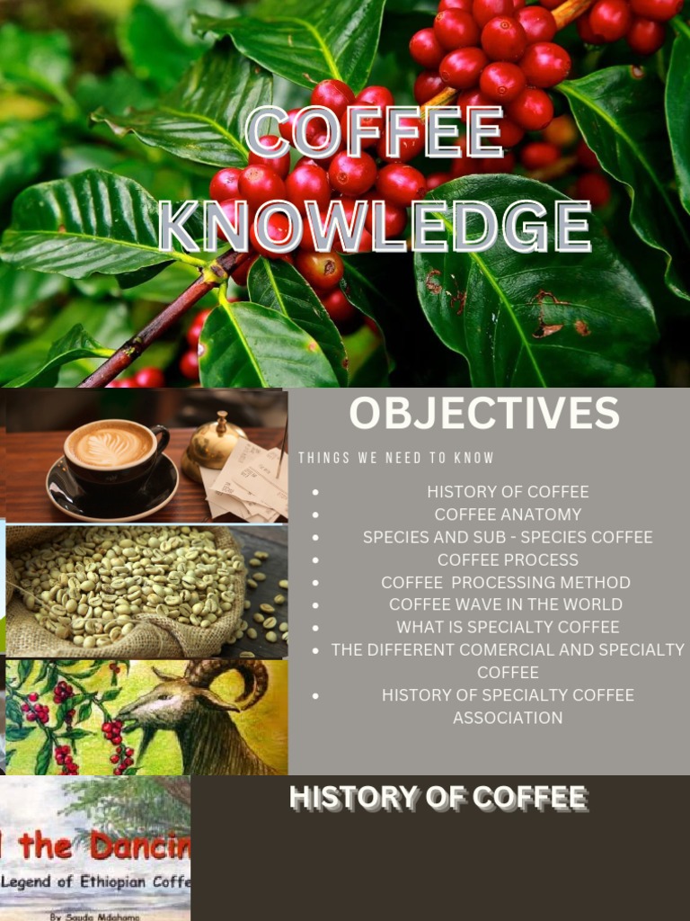 Coffee Knowledge v.1 | PDF