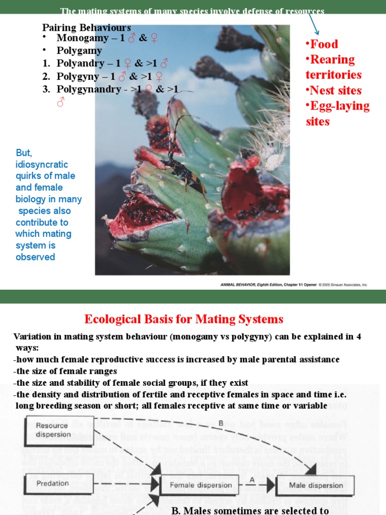 #10 Mating Systems | PDF