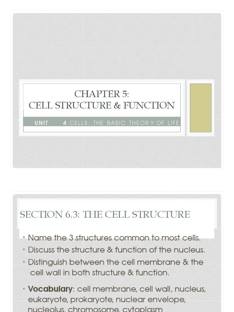 Cell Structure and Organelle Functions | PDF | Cell (Biology ...