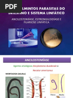 Sintomas da Tungíase e Cuidados | PDF | Doenças e distúrbios | Remédio