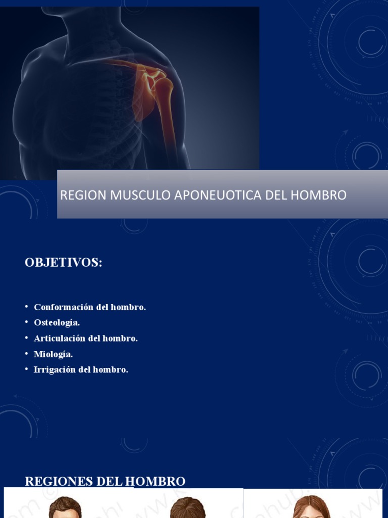 ANATOMIA DE HOMBRO MORFO II primer año de medicina | PDF