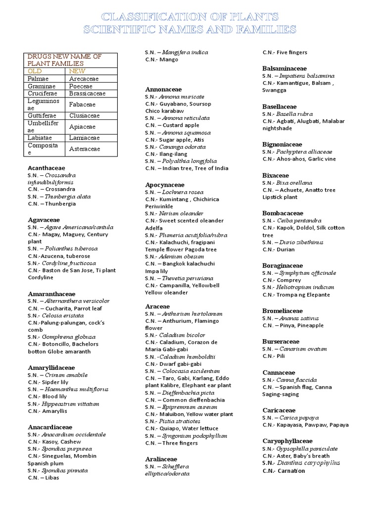 Scientific Names of Common Plants in The Philippines | PDF