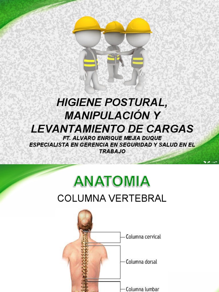 Higiene Postural y Caidas | PDF | La columna vertebral | Dolor lumbar