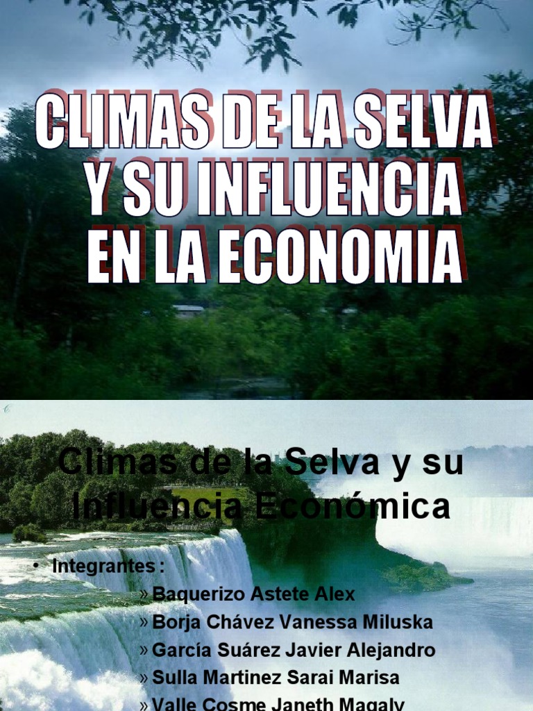 Climas de La Selva | PDF | Clima | Perú