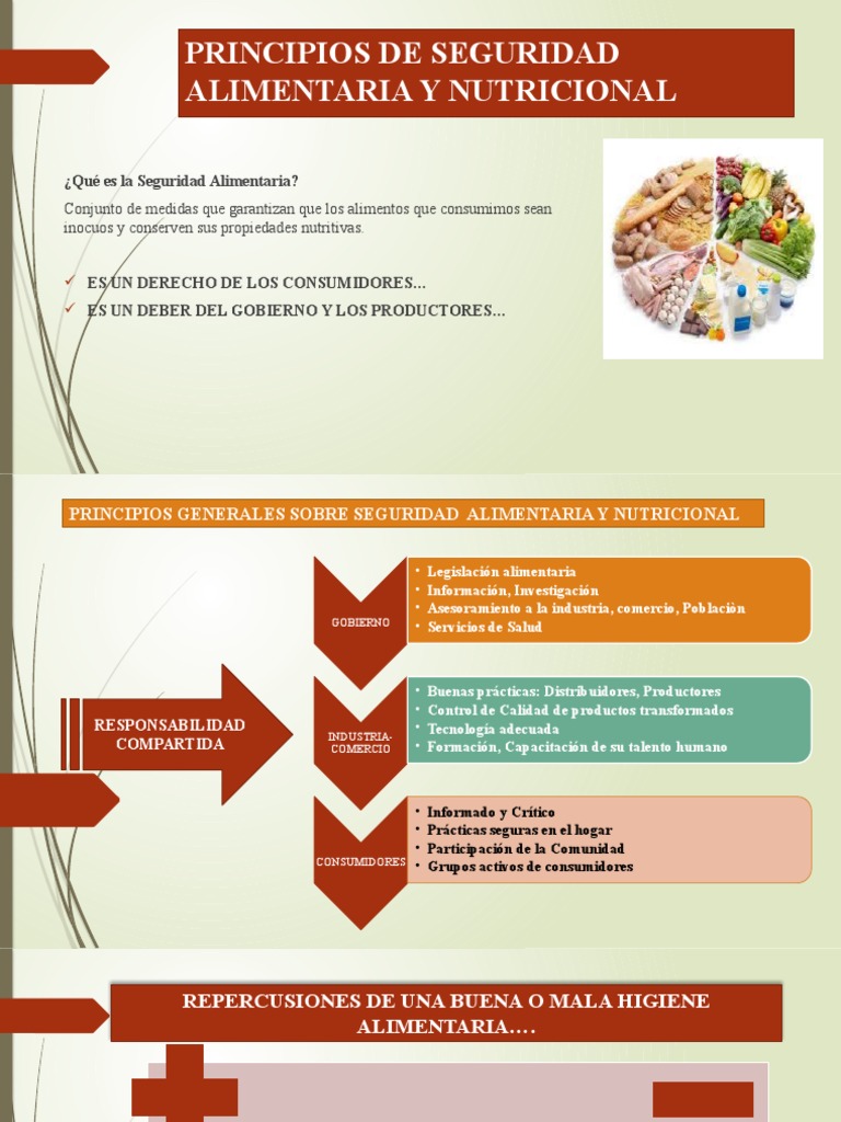 2.-PRINCIPIOS DE SEGURIDAD ALIMENTARIA Y NUTRICIONAL | PDF | Alimentos | Seguridad alimenticia