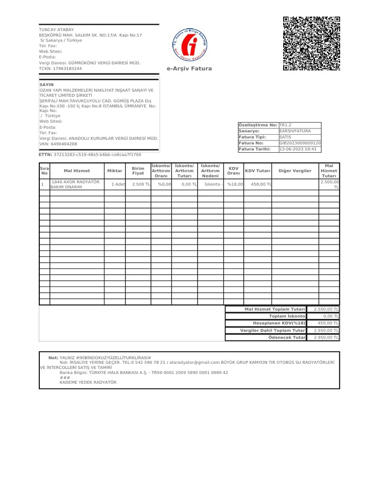 E-Arşiv Fatura | PDF