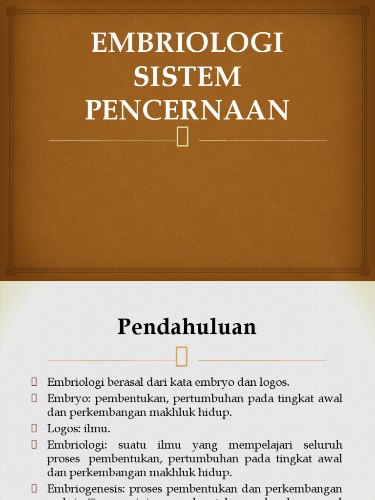 Anatomi Embriologi Sistem Pencernaan_dr. Nadia | PDF
