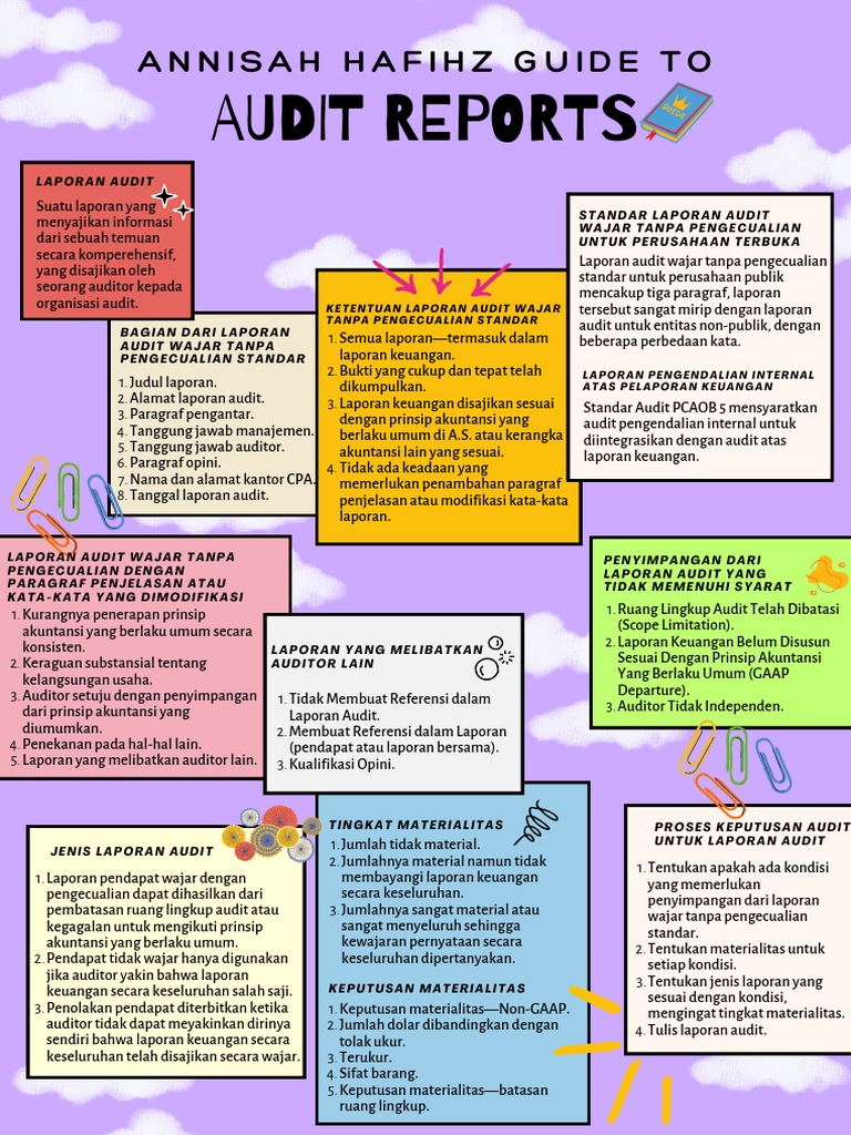 Chapter 3 - Audit Reports | PDF