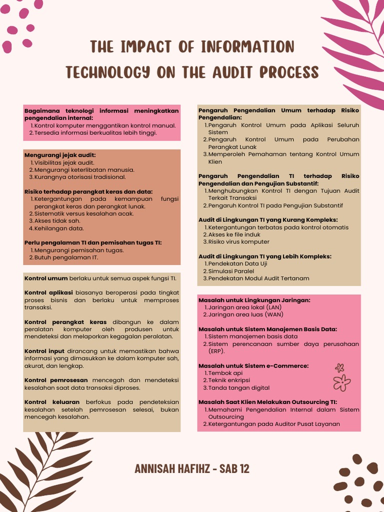 Chapter 12 - The Impact of Information Technology On The Audit Process | PDF