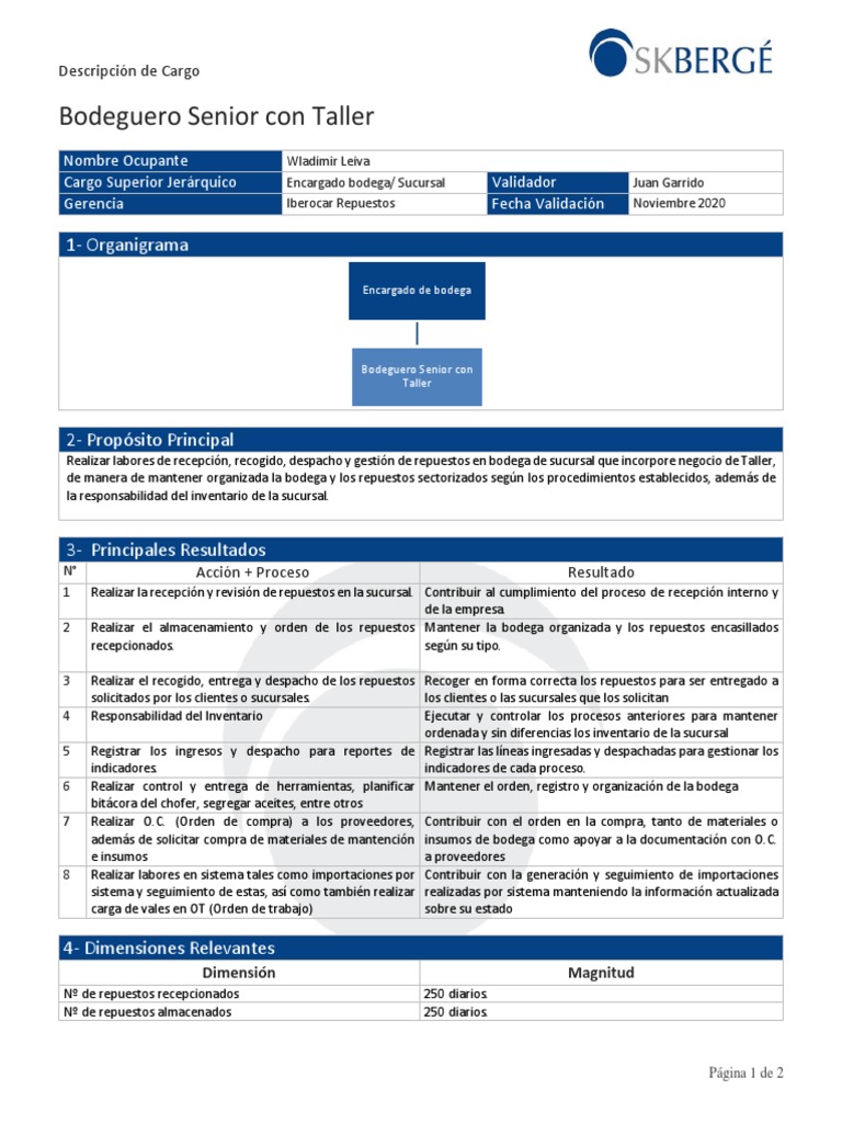 Descripcion de Cargo | PDF | Business | Informática